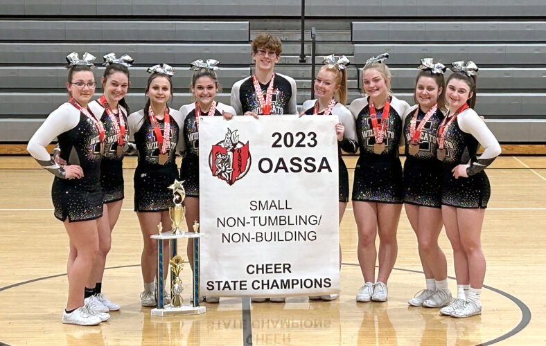 Wildcats Cheer Team makes school history | News, Sports, Jobs - The ...